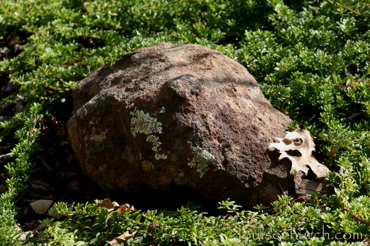 let the bones rest… – An Owl at the Window…